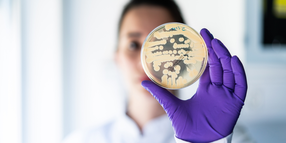 Abekopper giver Bavarian sorte tal på bundlinjen i 2023 | Dansk ...